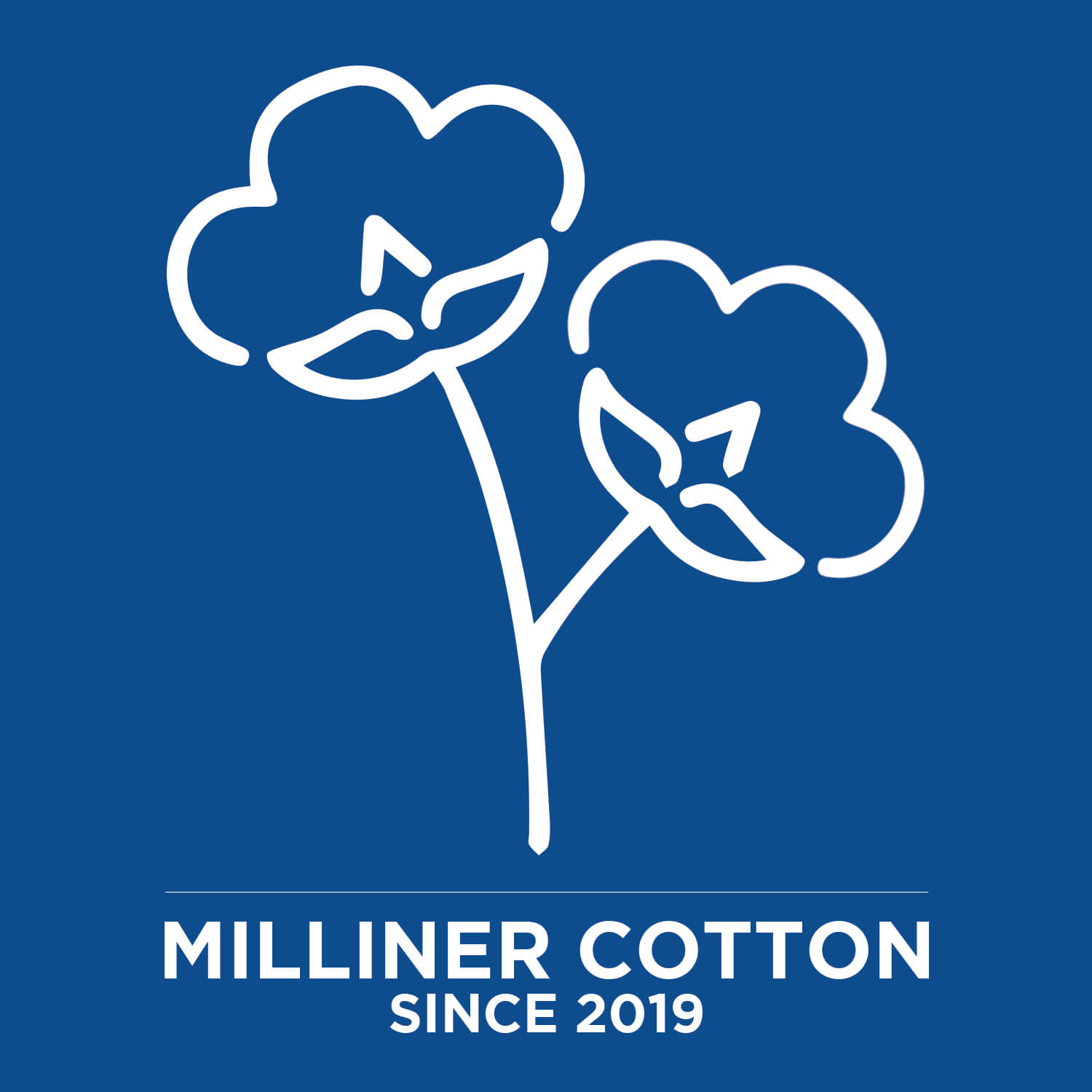 Artistic Milliners introduced ‘Milliner Cotton’ project to promote ...