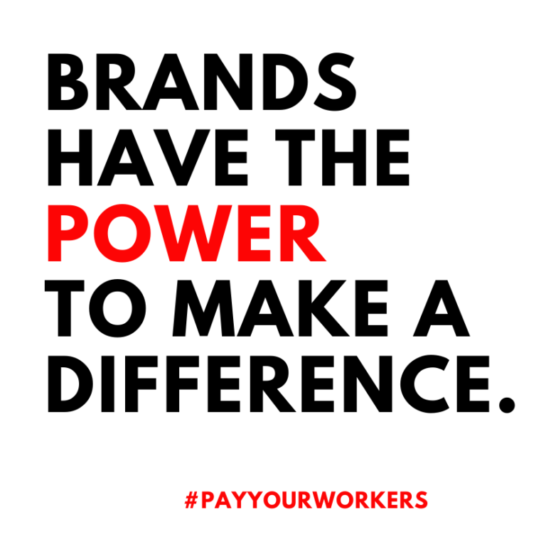 Clean Clothes Campaign Launched New Public Tracker