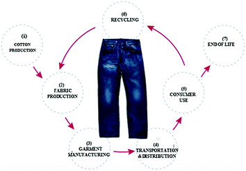 Life Cycle of a Denim Jeans